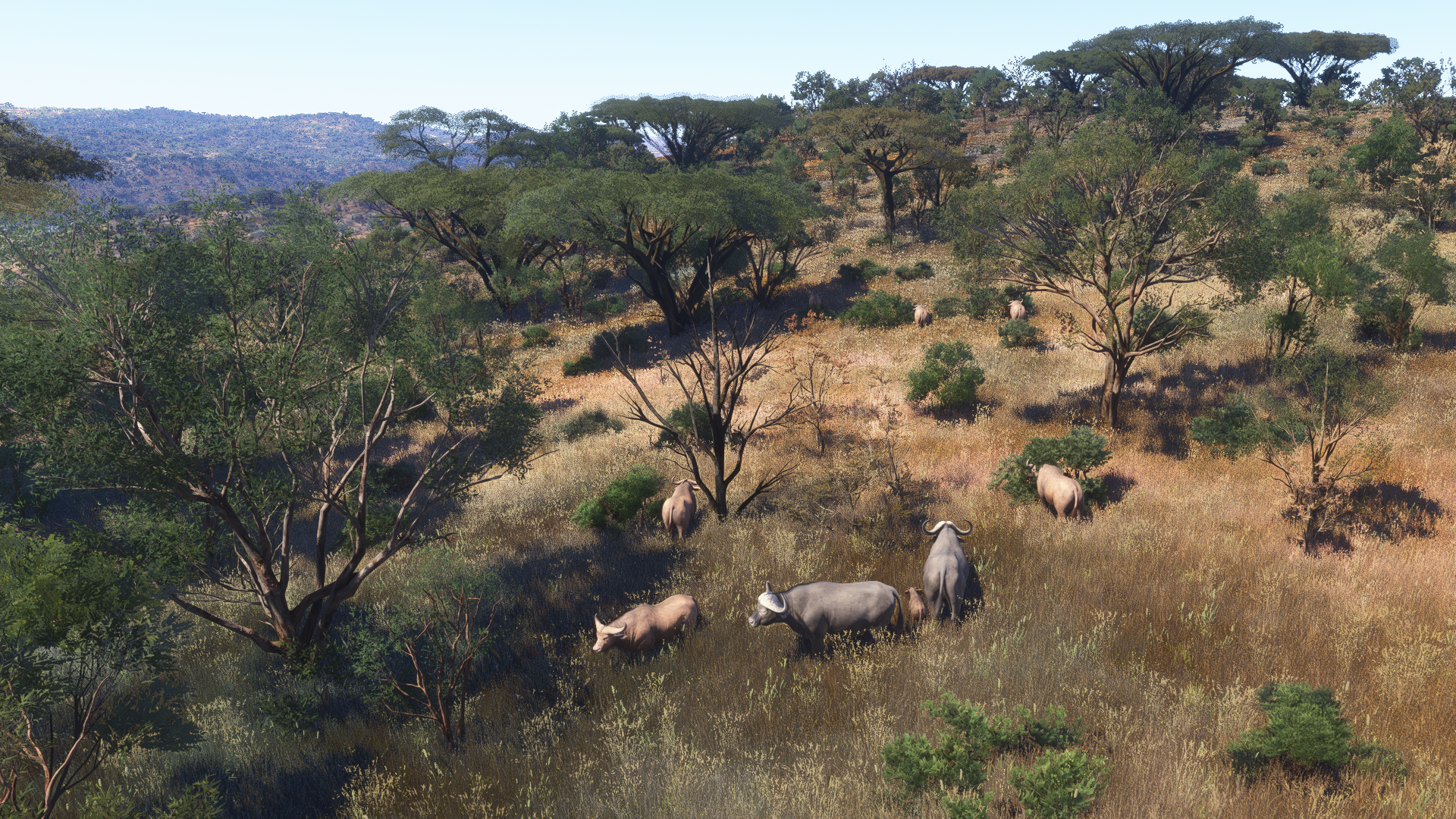 『Microsoft Flight Simulator 2024』は数々の機能強化により、史上最も革新的なフライト シミュレーターへ ...