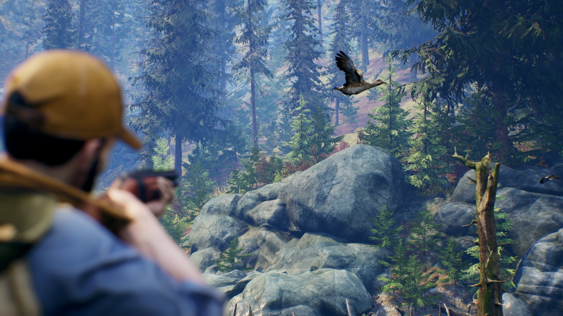 Open Country Is Now Available For Xbox One And Xbox Series X|S - Xbox Wire