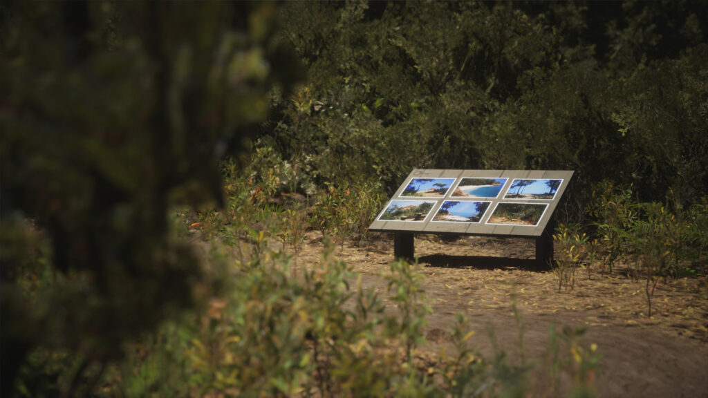 Lushfoil Photography Sim: Capturing The World’s Beauty Through A New Lens - Xbox Wire