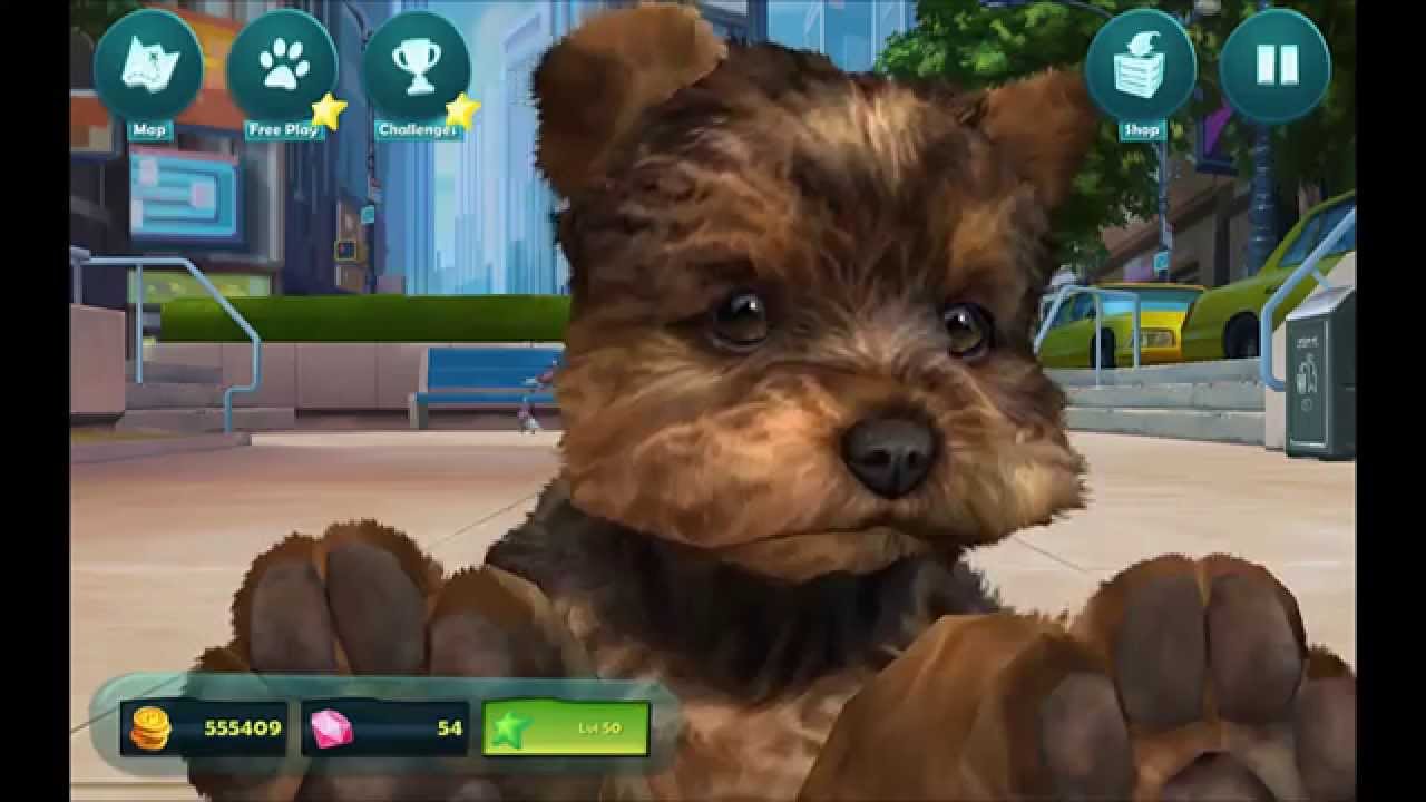 Kinectimals Get Unleashed Onto Windows 8 - Xbox Wire