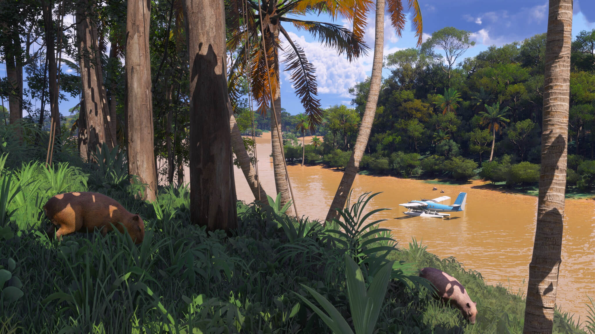 Microsoft Flight Simulator lanza la actualización World Update XIX ...